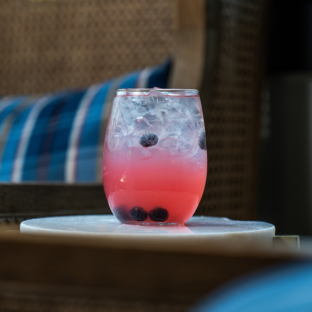 Blueberry Gin Fizz - Burnt Church Distillery